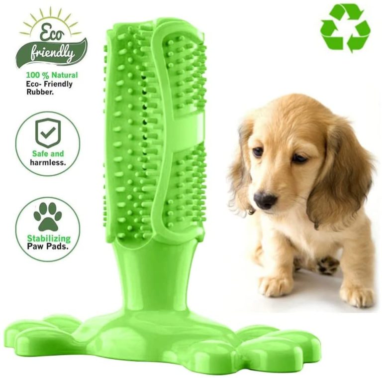 Dog Toothbrush Chew Toy – For Dogs of 40-80 lbs – Green – NIVTTDOGCATTOY
