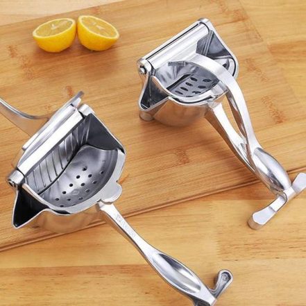New Stainless Steel Fruit Juice Squeezer – NIVTTDOGCATTOY